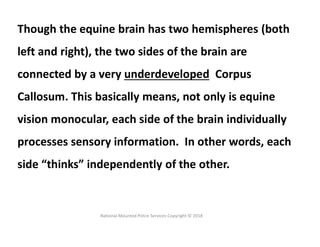 Equine Vision Explained | PPT