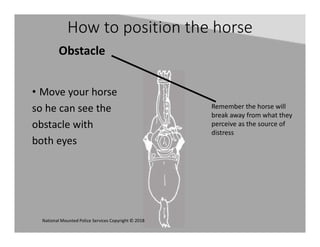 Equine Vision Explained | PPT