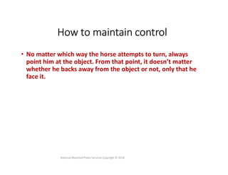 Equine Vision Explained | PPT