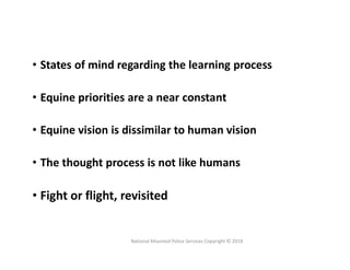 Equine Vision Explained | PPT