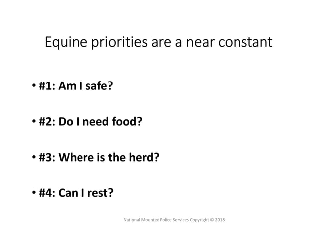 Equine Vision Explained | PPT | Free Download