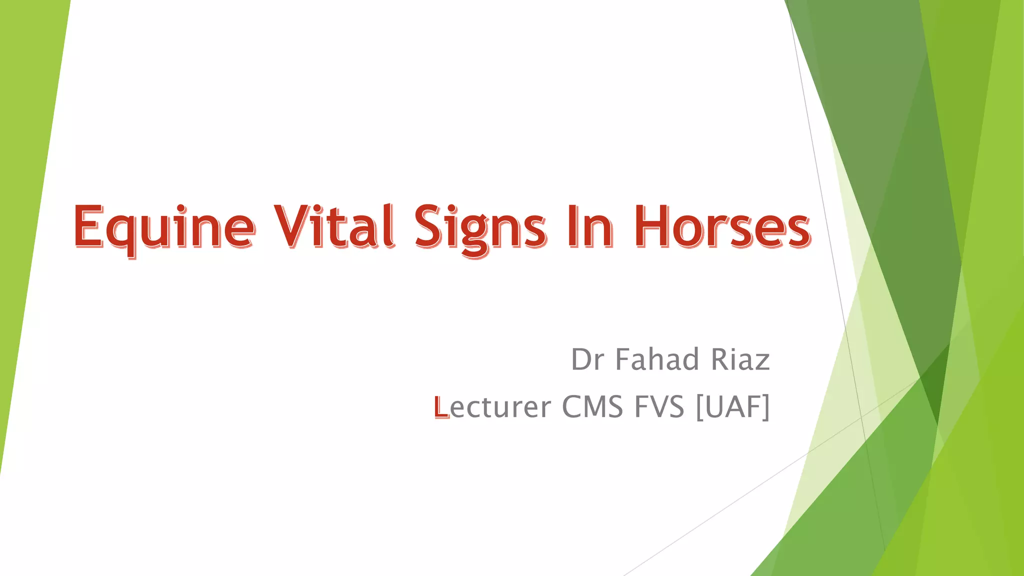 Equine vitaL signs | PPT