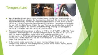 Equine vitaL signs | PPT | Free Download