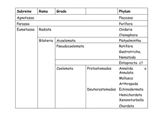 Equinodermos | PDF