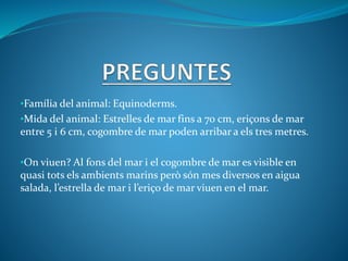 Equinoderms | PPTX