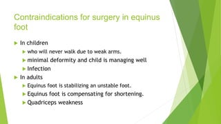 Equinus | PPTX