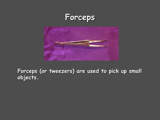 CVA Biology I - Lab Equipment | PPT