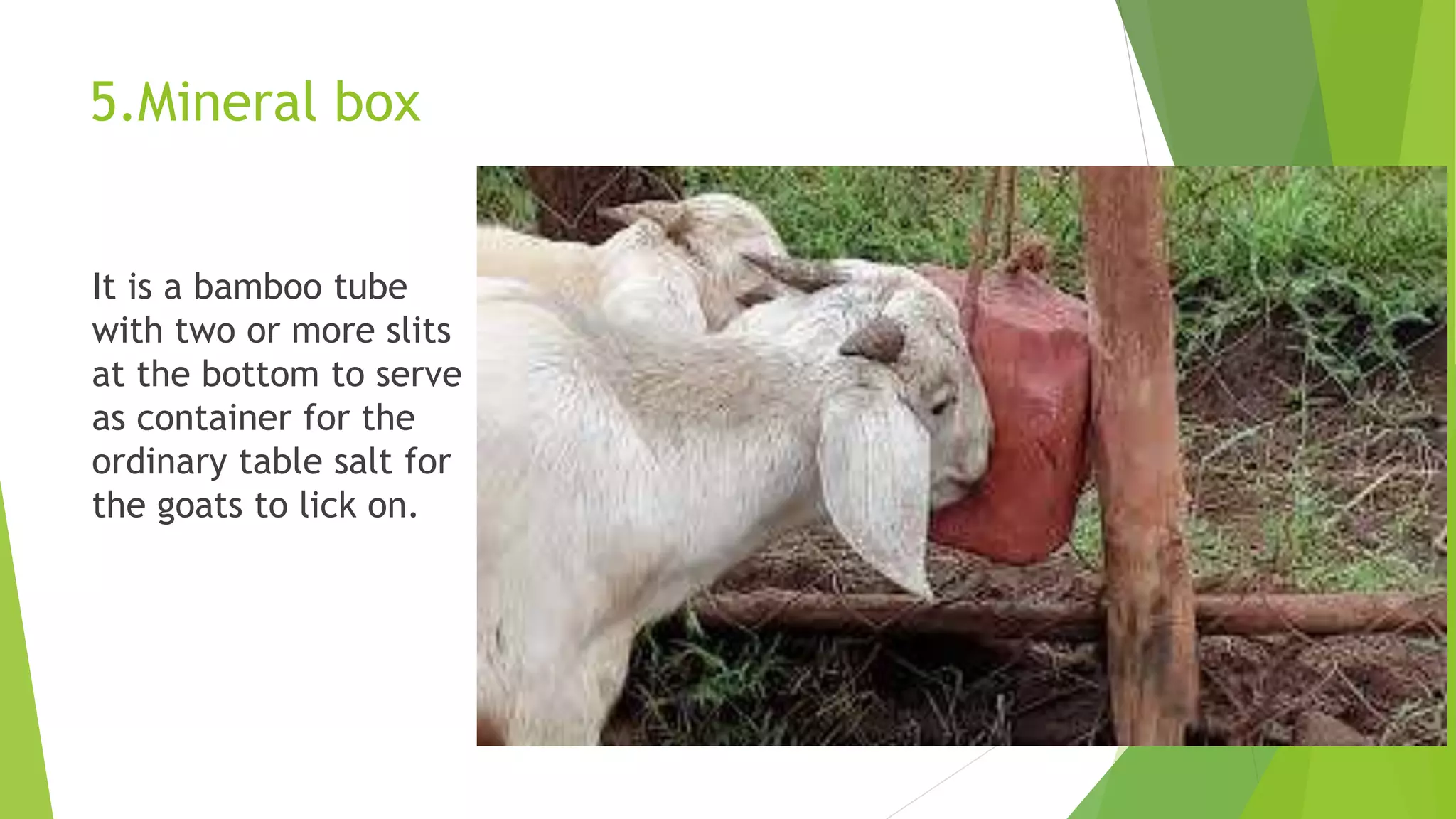 EQUIPMENT AND FACILITIES IN THE GOAT PROJECT.pptx