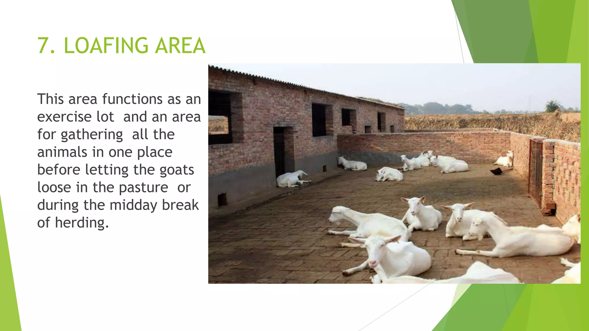 EQUIPMENT AND FACILITIES IN THE GOAT PROJECT.pptx