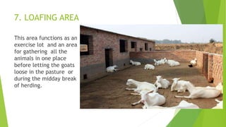EQUIPMENT AND FACILITIES IN THE GOAT PROJECT.pptx