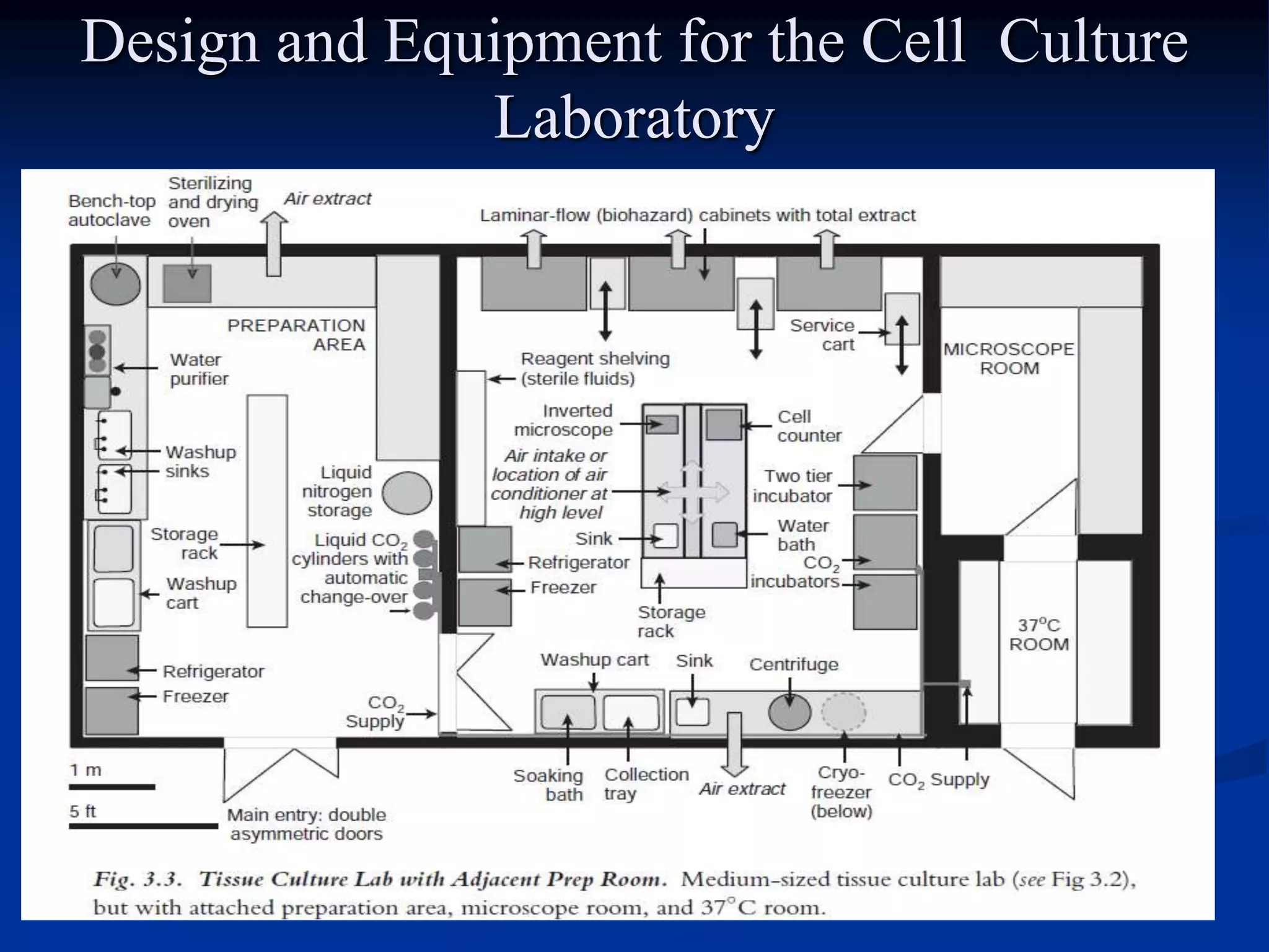 Equipment and materials for animal cell culture | PPT