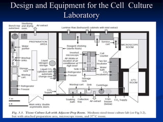 Equipment and materials for animal cell culture | PPT