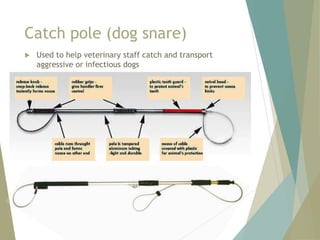 Equipment_and_Materials_Identification.pptx