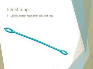 Fecal Loop