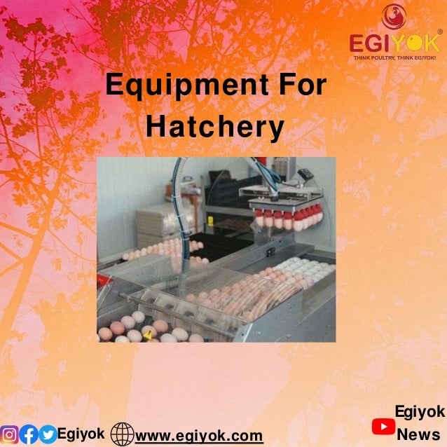 Equipment For Hatchery | PPTX