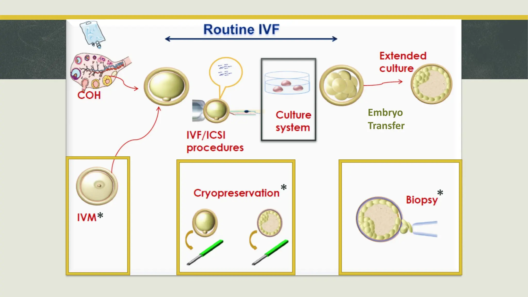 EQUIPMENTS & INSTRUMENTS IN IVF LAB .pdf