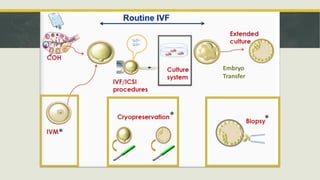 EQUIPMENTS & INSTRUMENTS IN IVF LAB .pdf