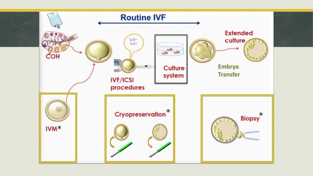 EQUIPMENTS & INSTRUMENTS IN IVF LAB .pdf