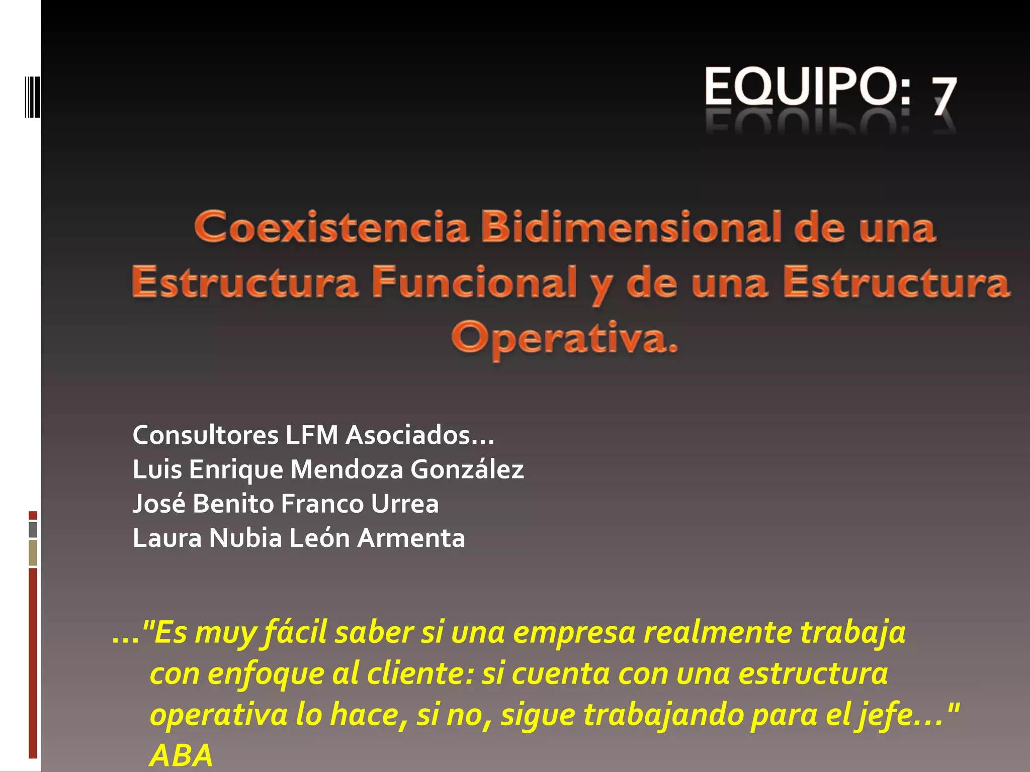 Estructura Operativa Vs Estructura Funcional | PPT
