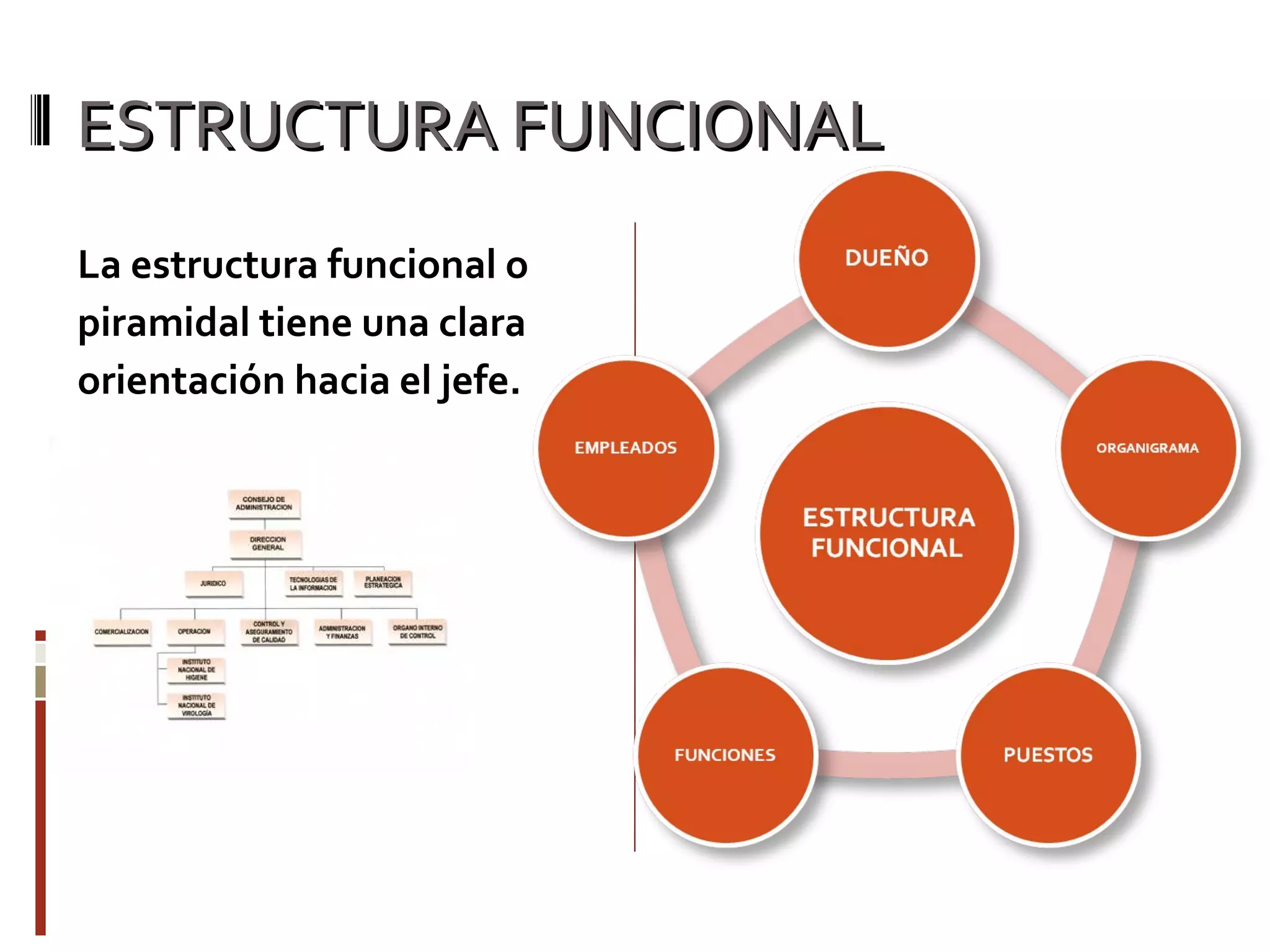 Estructura Operativa Vs Estructura Funcional | PPT