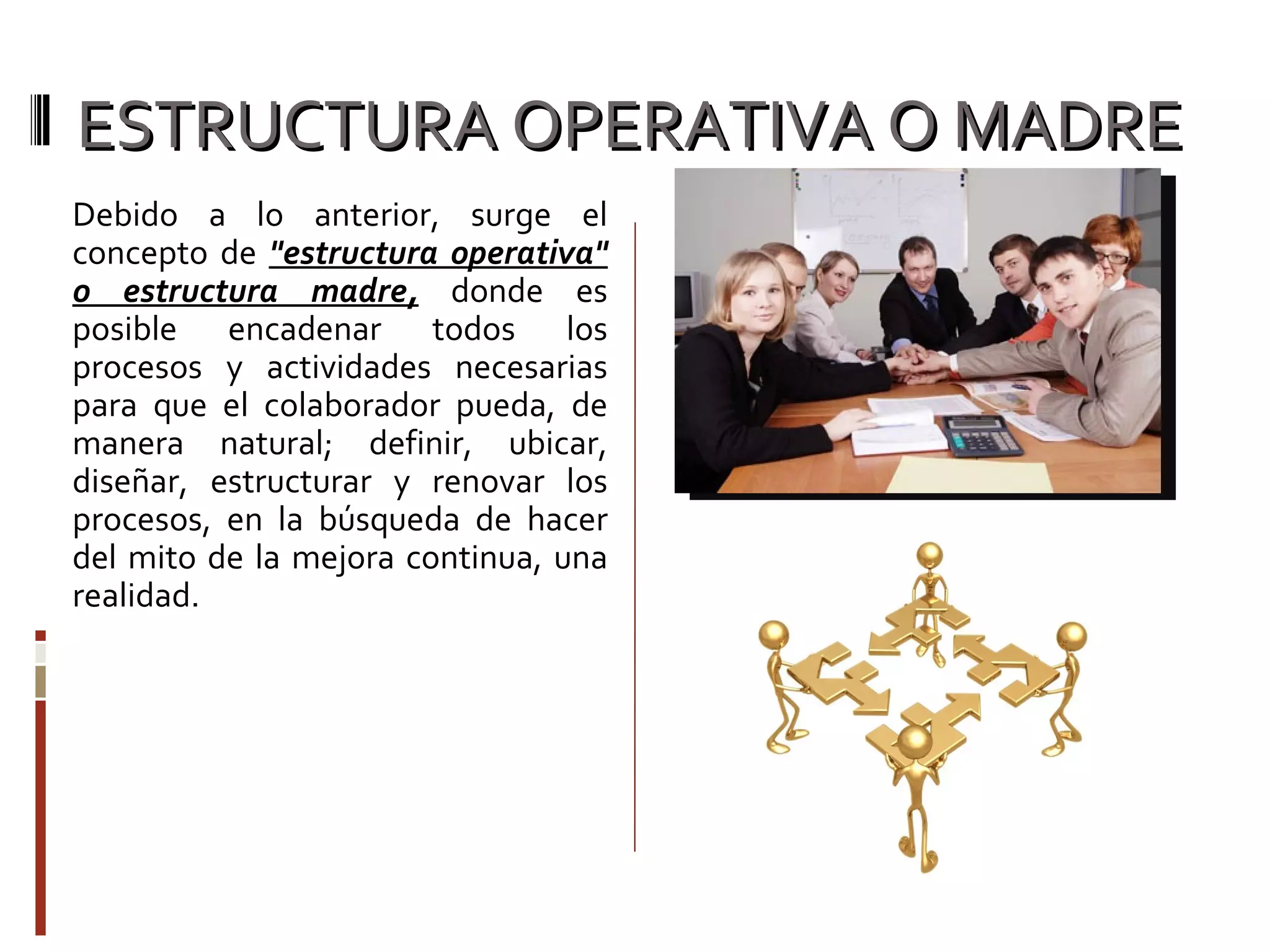 Estructura Operativa Vs Estructura Funcional | PPT