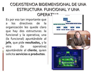 Estructura Operativa Vs Estructura Funcional | PPT