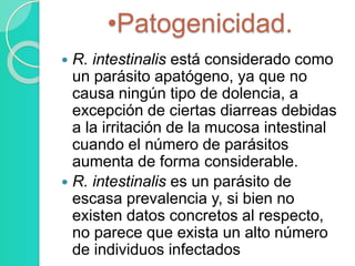 Retortamonas Intestinalis