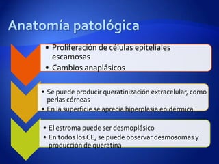 03 Ca Epidermoide | PPTX