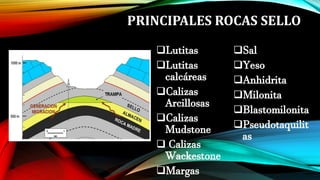 ROCA SELLO EXPO | PDF