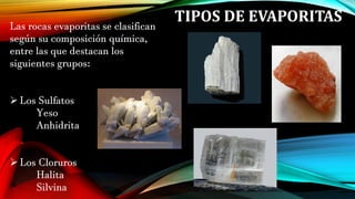 ROCA SELLO EXPO | PDF