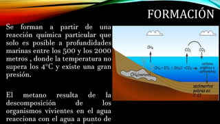 ROCA SELLO EXPO | PDF