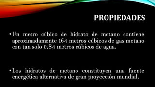ROCA SELLO EXPO | PDF
