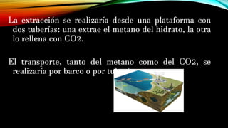 ROCA SELLO EXPO | PDF
