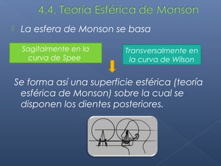 Fisiologia de oclusion | PPT