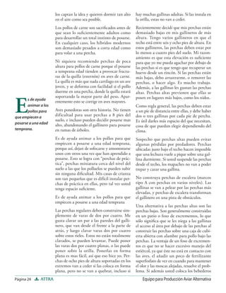 Equipo para Producción Aviar Alternativa | PDF