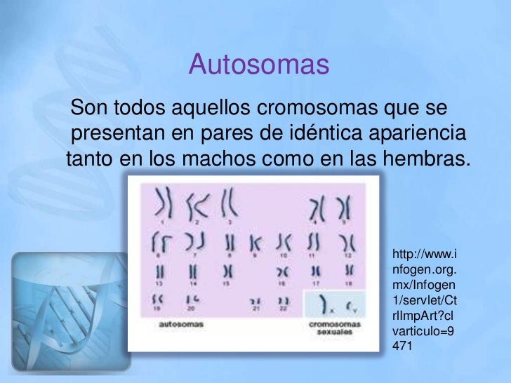 Relaciones no alélicas.