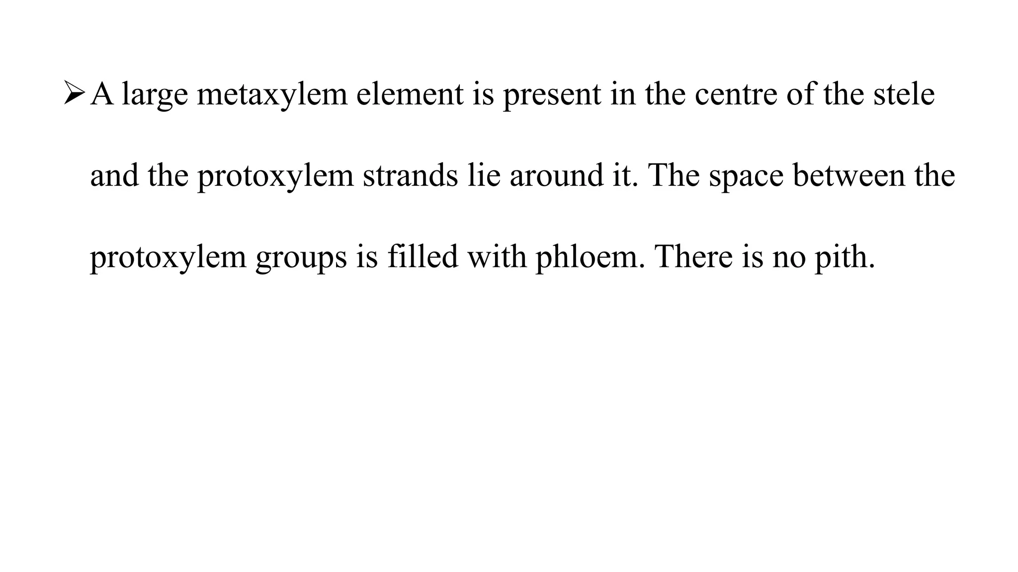 "Equisetum" Structural development Reproduction | PPTX