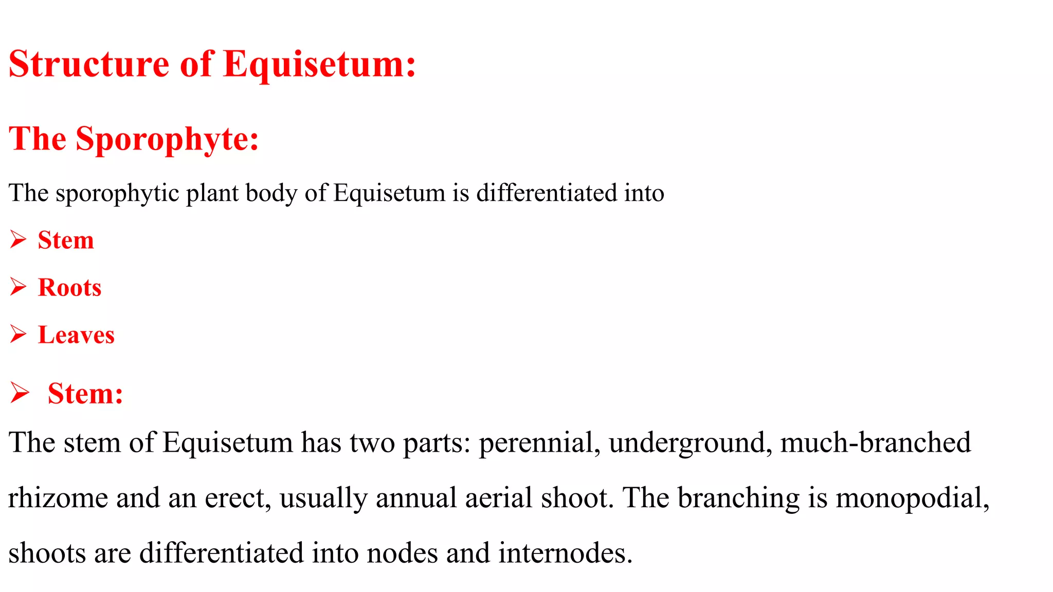"Equisetum" Structural development Reproduction | PPTX