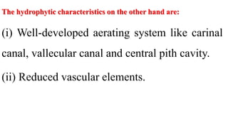 "Equisetum" Structural development Reproduction | PPTX