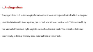"Equisetum" Structural development Reproduction | PPTX