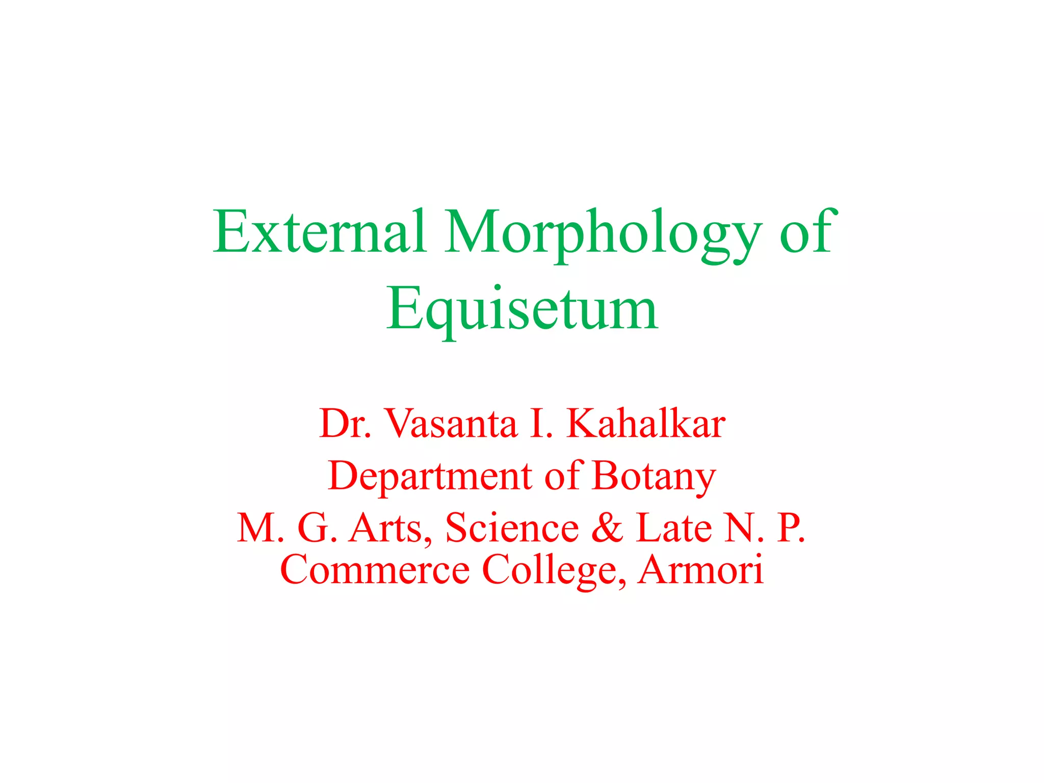 Equisetum | PPTX