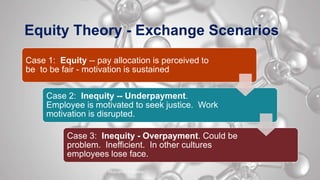 Equity and Reinforcement Theory.pptx