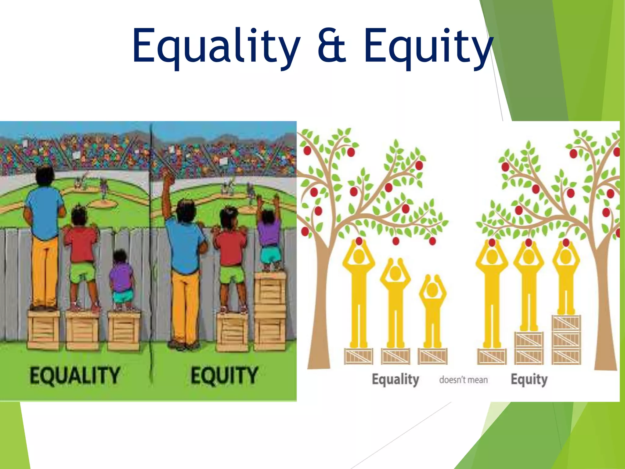 Importance Of Equity In Education – MGNAR