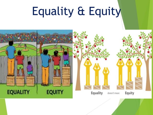 EQUITY IN EDUCATION | PPTX