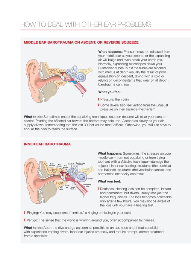 Scuba Diving Ear Equlization | PDF