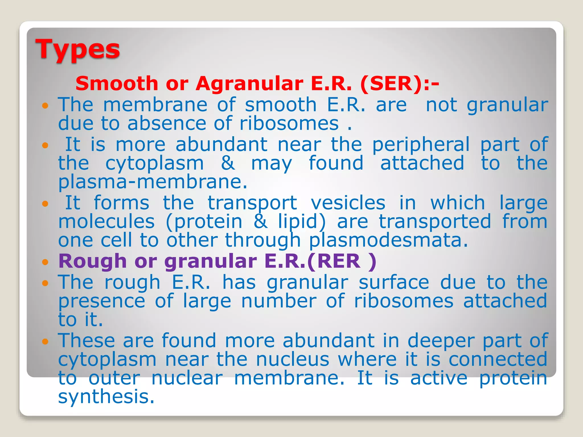 ENDOPLASMIC RETICULUM | PPT