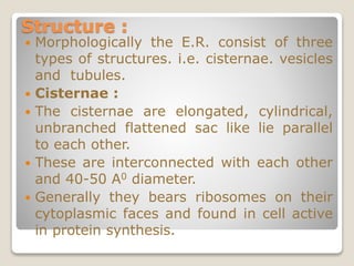 ENDOPLASMIC RETICULUM | PPT