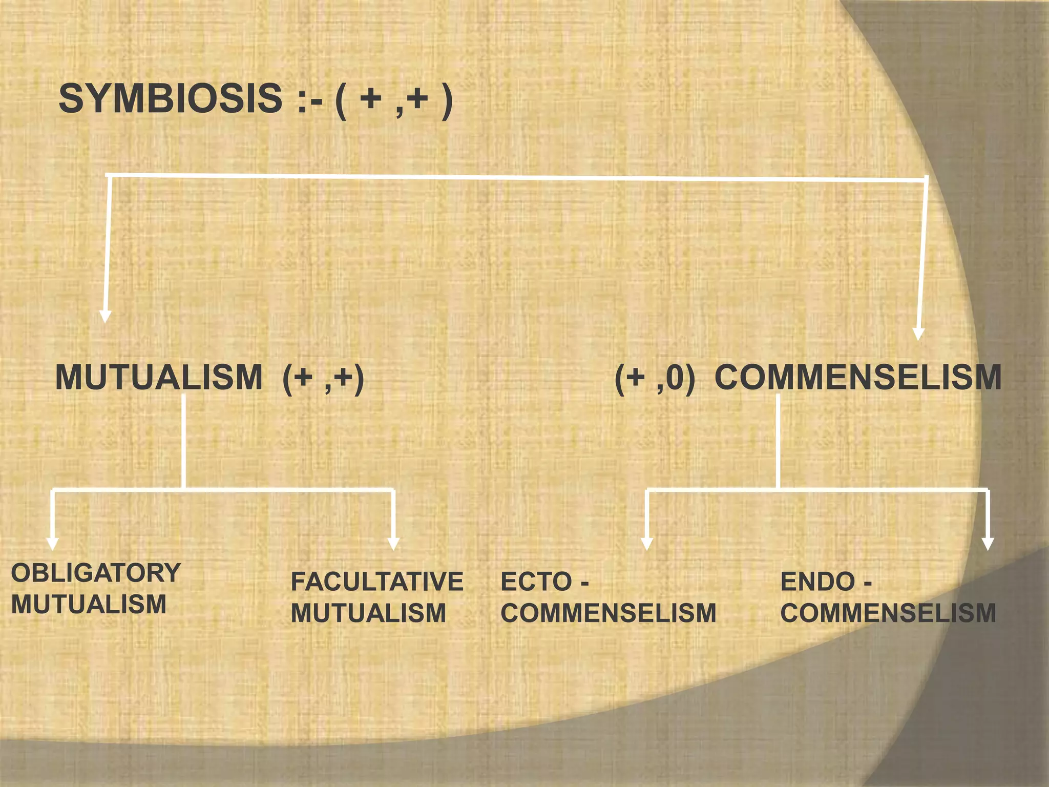 Ecological relationship .ppt