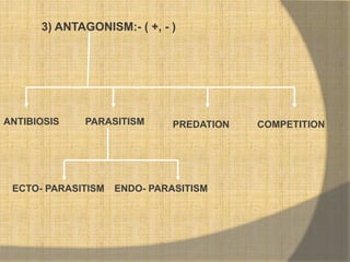 Ecological relationship .ppt