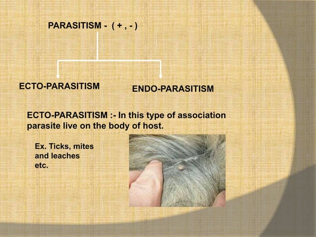 Ecological relationship .ppt | Biological Sciences | Science